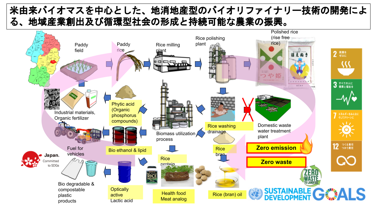 スタッフ紹介 – YAAS 山形大学アグリフードシステム先端研究センター